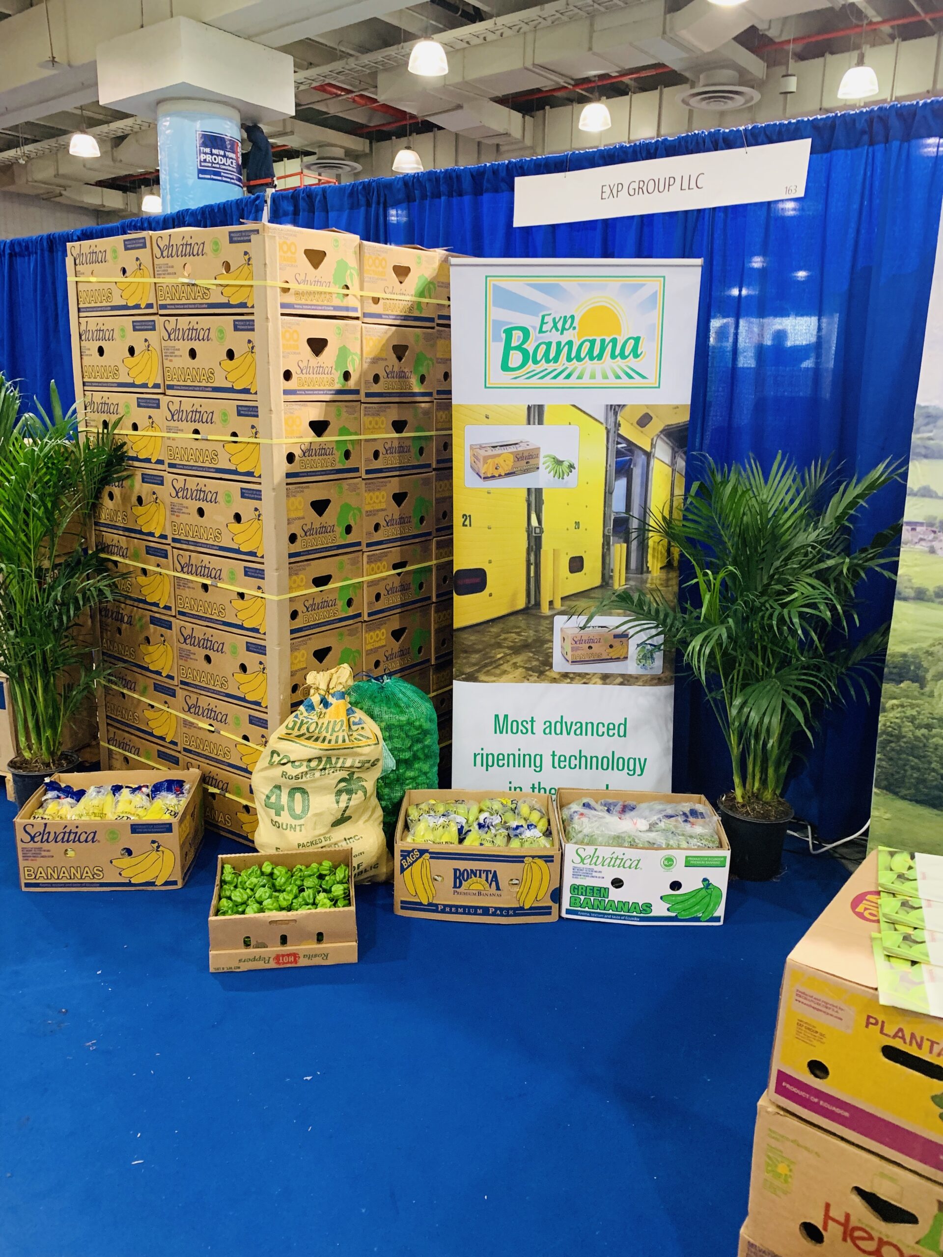 Exp. Group LLC - Worldwide group based on companies based all across ...