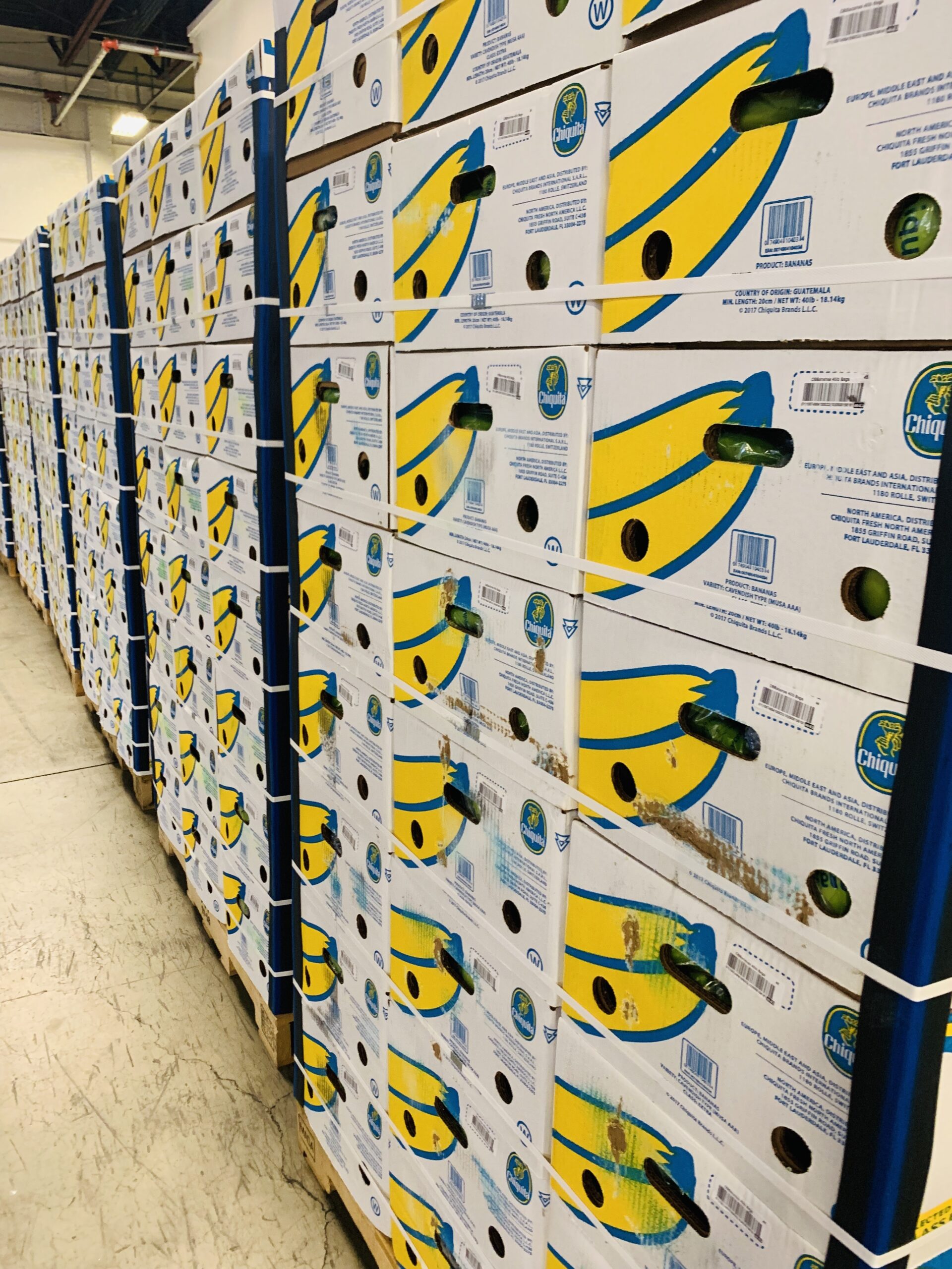 Exp. Group LLC - Worldwide group based on companies based all across ...