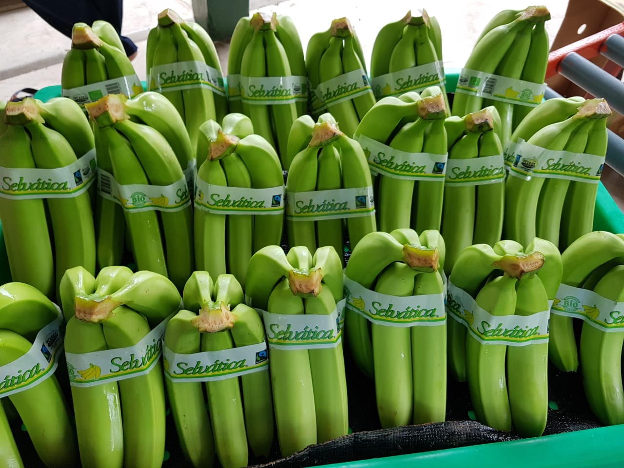 Exp. Group LLC - Worldwide group based on companies based all across ...