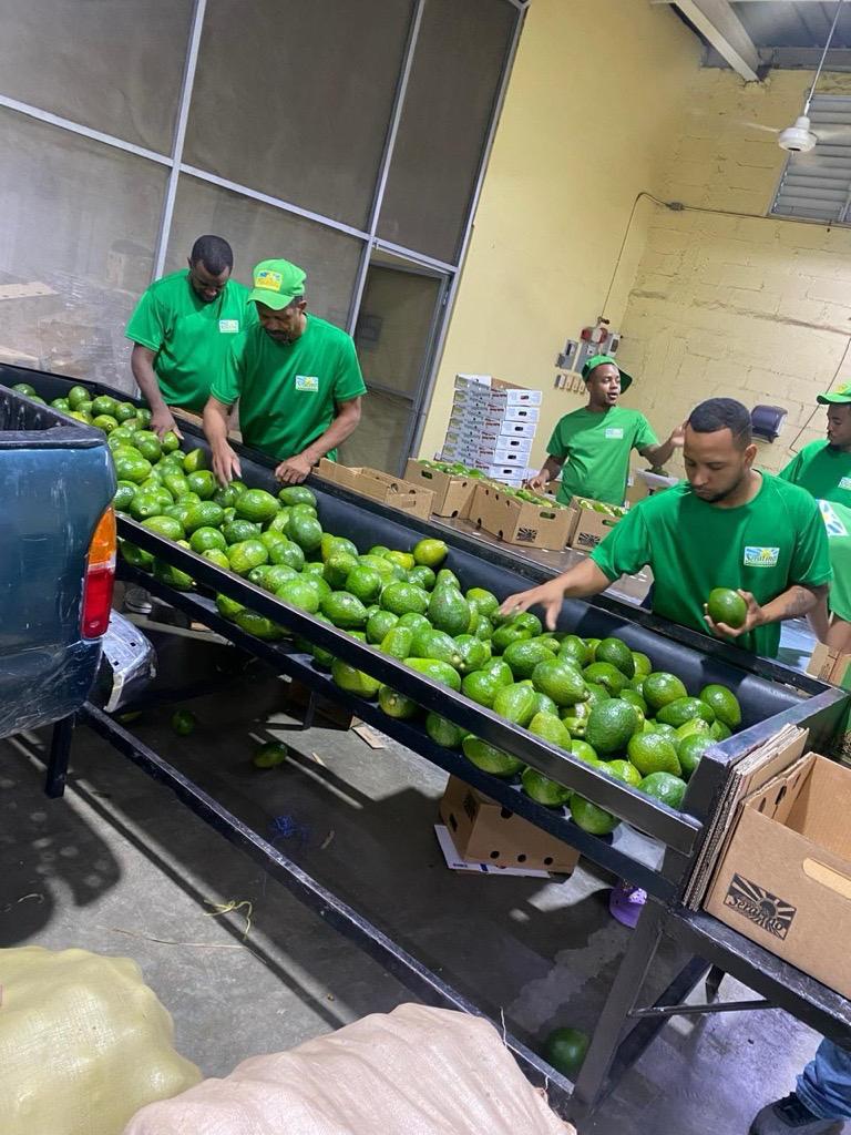 Exp. Group LLC | Dominican Republic