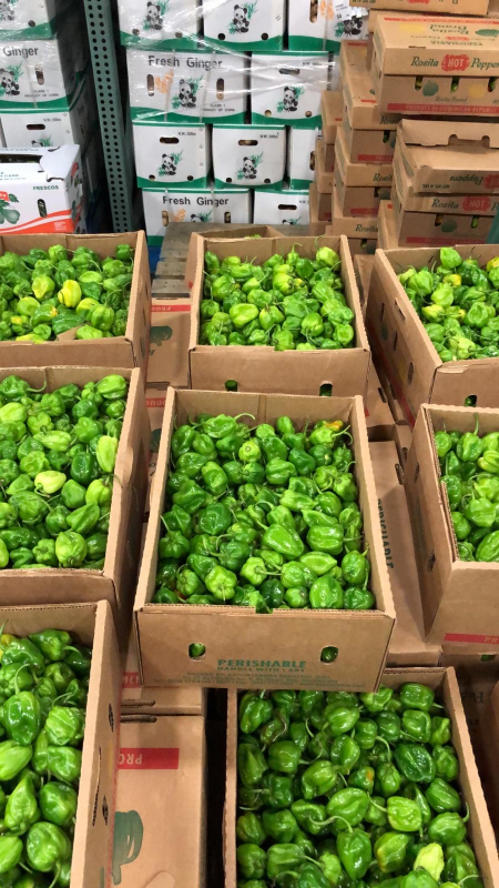 Exp. Group LLC - Worldwide group based on companies based all across ...