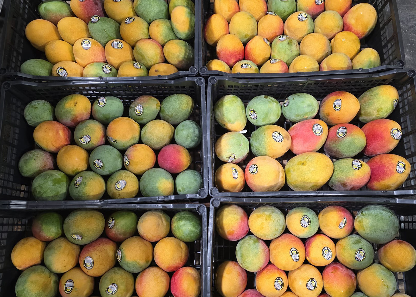 Exp. Group LLC | New York